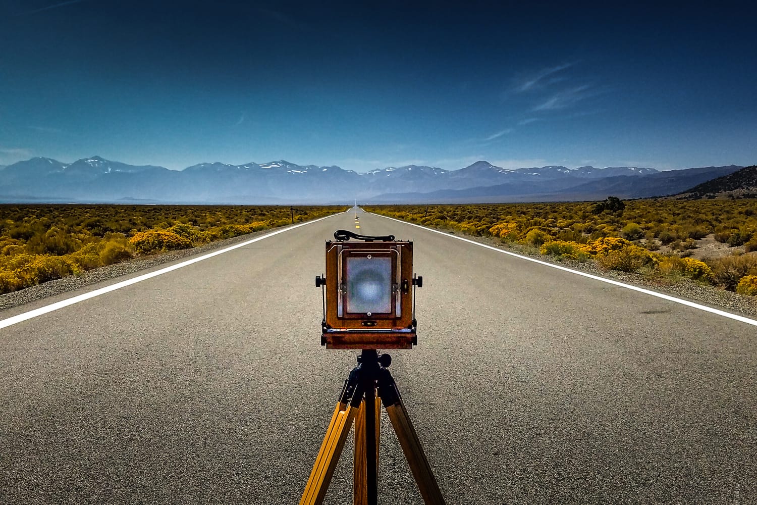 Film Camera Courses Photography Subjects